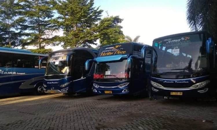 Bus Pariwisata Armada Penantian, Termurah di Lampung